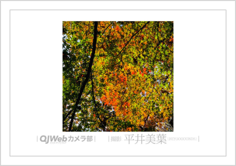 BEYOOOOONDS平井美葉が撮影「あさんぽ」【QJWebカメラ部】 - QJWeb クイック・ジャパン ウェブ