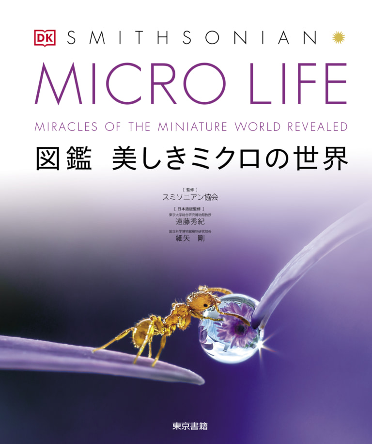 “小さきものたち”の未知なる姿を、最新の顕微鏡技術で映し出す！『MICRO LIFE 図鑑 美しきミクロの世界』 - QJWeb クイック・ジャパン ウェブ