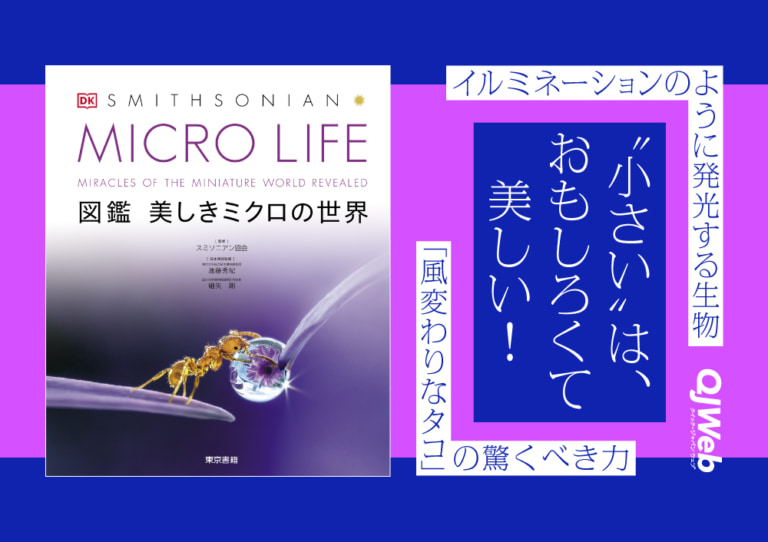 “小さきものたち”の未知なる姿を、最新の顕微鏡技術で映し出す！『MICRO LIFE 図鑑 美しきミクロの世界』 - QJWeb クイック・ジャパン ウェブ