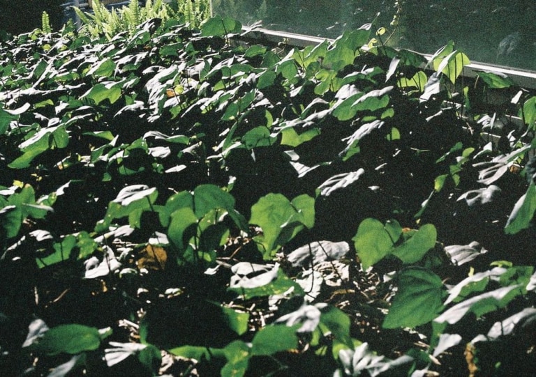 原因は自分にある。長野凌大「不思議でしょうがない」【QJWebカメラ部】 - QJWeb クイック・ジャパン ウェブ