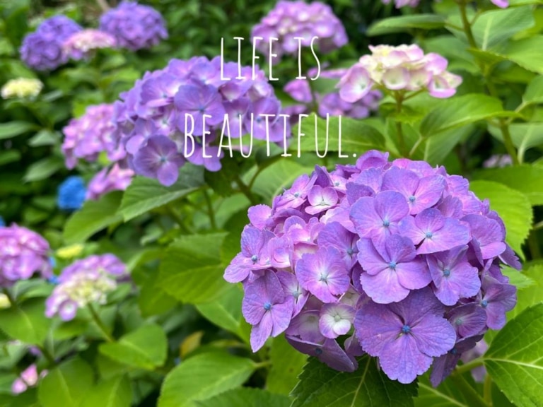 109人とデートしてもやらかしまくり！ 恋愛でのやりとりってめんどくさい - QJWeb クイック・ジャパン ウェブ