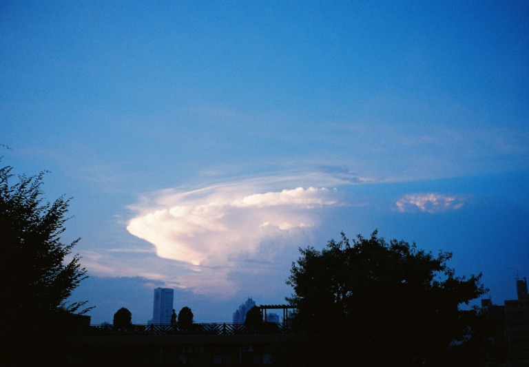 森田美勇人「夏バテ」【QJWebカメラ部】 - QJWeb クイック・ジャパン ウェブ