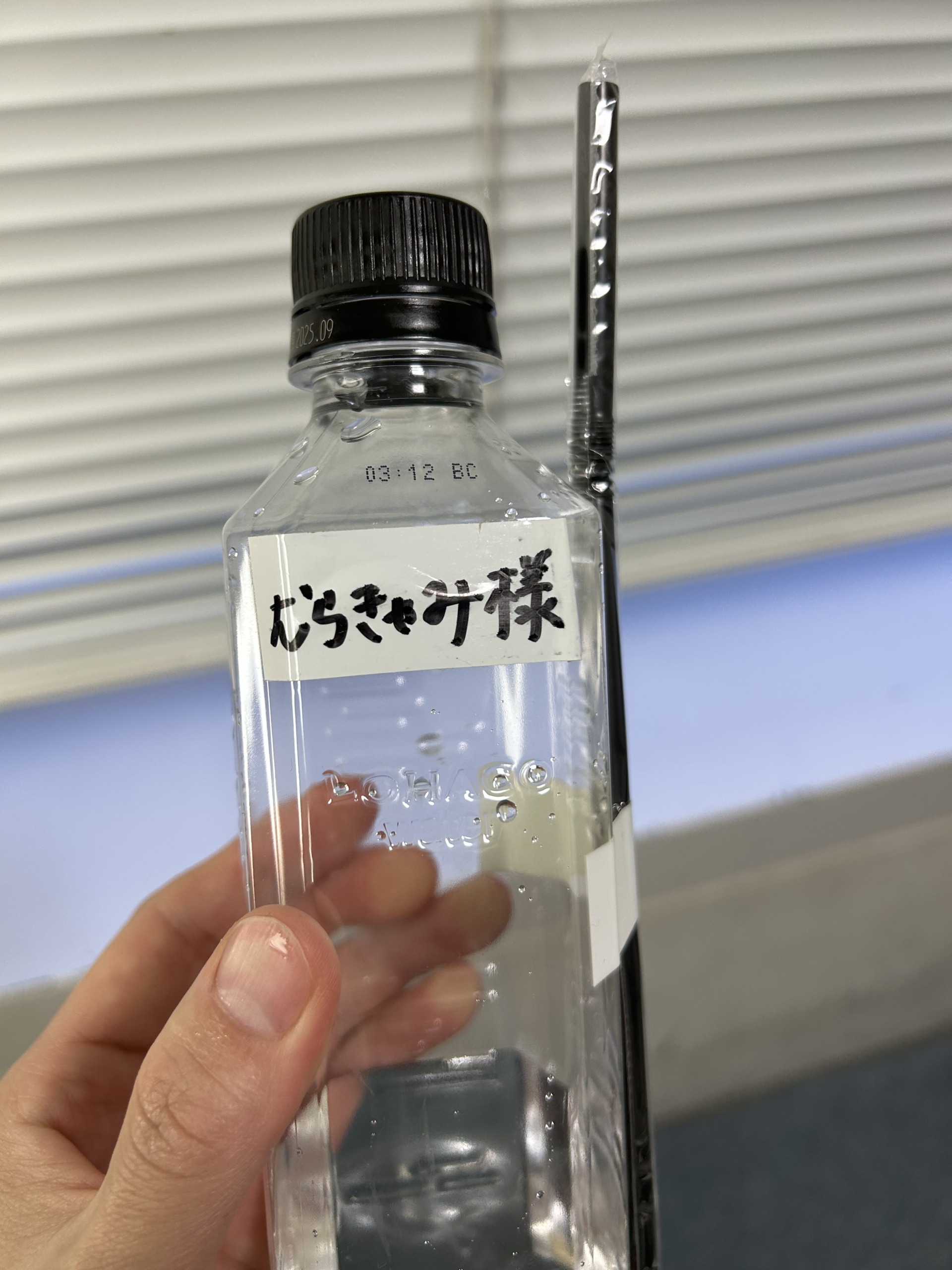 きゃみ”はどこから来たのか』【Aマッソむらきゃみのグルメ連載「今月のスープ」#8】 - QJWeb クイック・ジャパン ウェブ