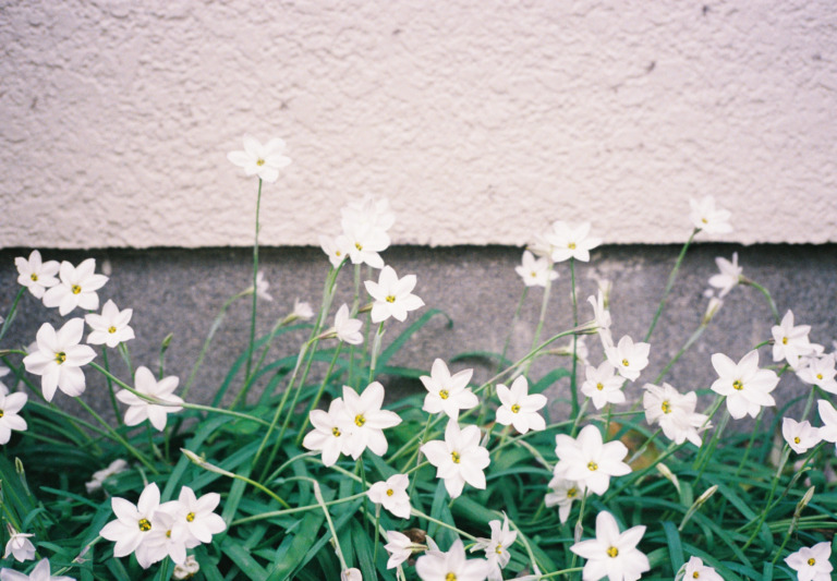 森田美勇人「のらりくらり」【QJカメラ部】 - QJWeb クイック・ジャパン ウェブ
