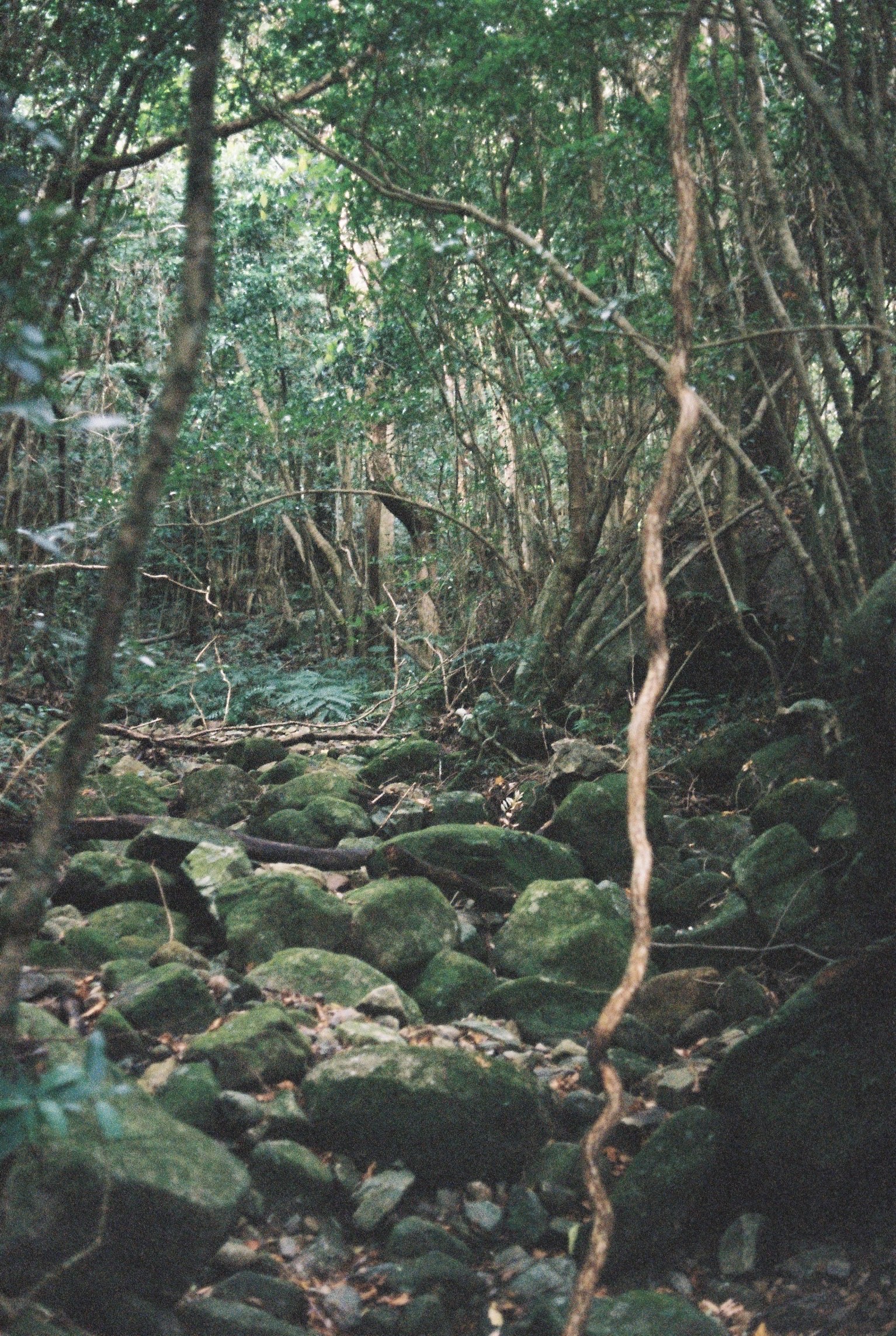 セントチヒロ・チッチ「どうしてもまた行きたい場所」【QJカメラ部】 - QJWeb クイック・ジャパン ウェブ