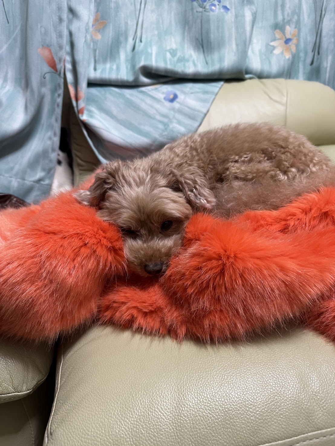 MASHIHOの“頭の中”をのぞく新連載スタート！第1回「地元・三重県で過ごした、家族との時間」【JP/EN】 - QJWeb クイック・ジャパン ウェブ