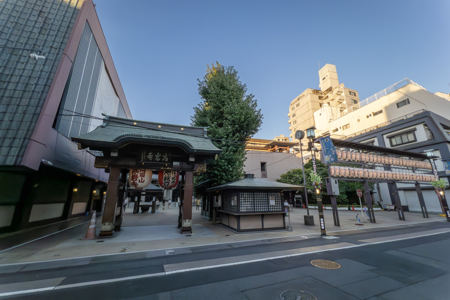 地元新潟で年商2億の大成功、しかし借金に追われ家族4人で流浪の旅…別府で温泉コンパニオン、最愛の夫との死別、そして見つけた愛の答え【佐伯ポインティのご長寿猥談 #1】 - QJWeb クイック ...