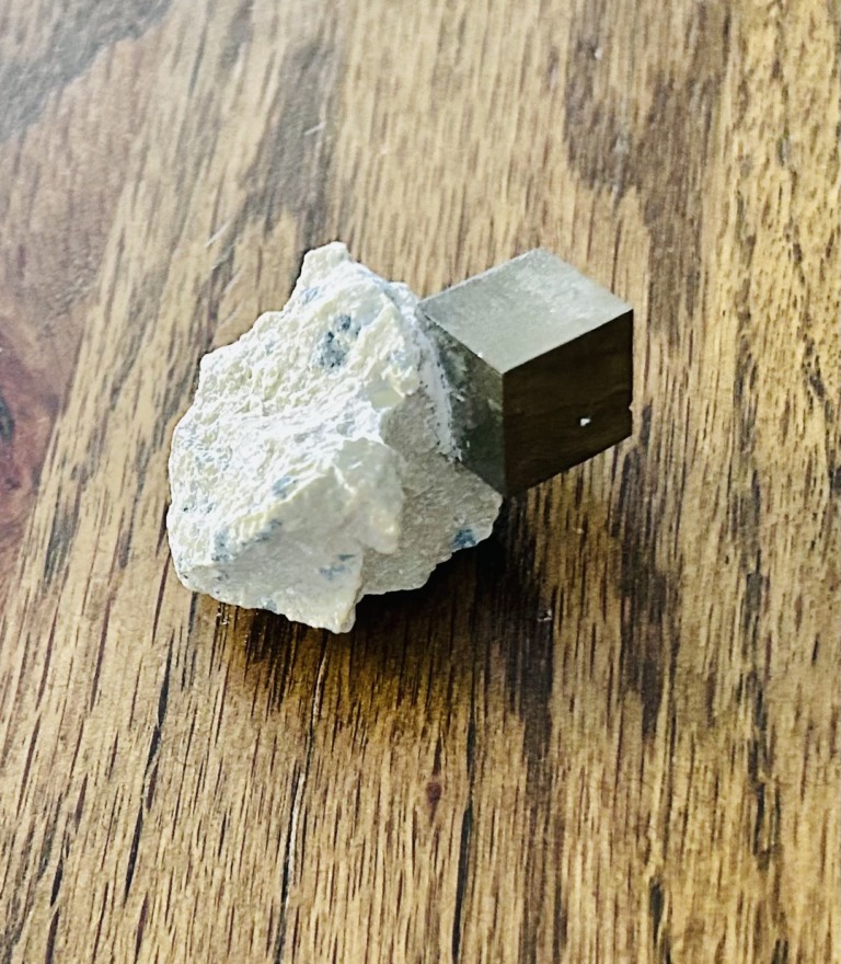 『むらきゃみのフォッサマグナ完全解説』【Aマッソむらきゃみのグルメ連載「今月のスープ」#17】 - QJWeb クイック・ジャパン ウェブ