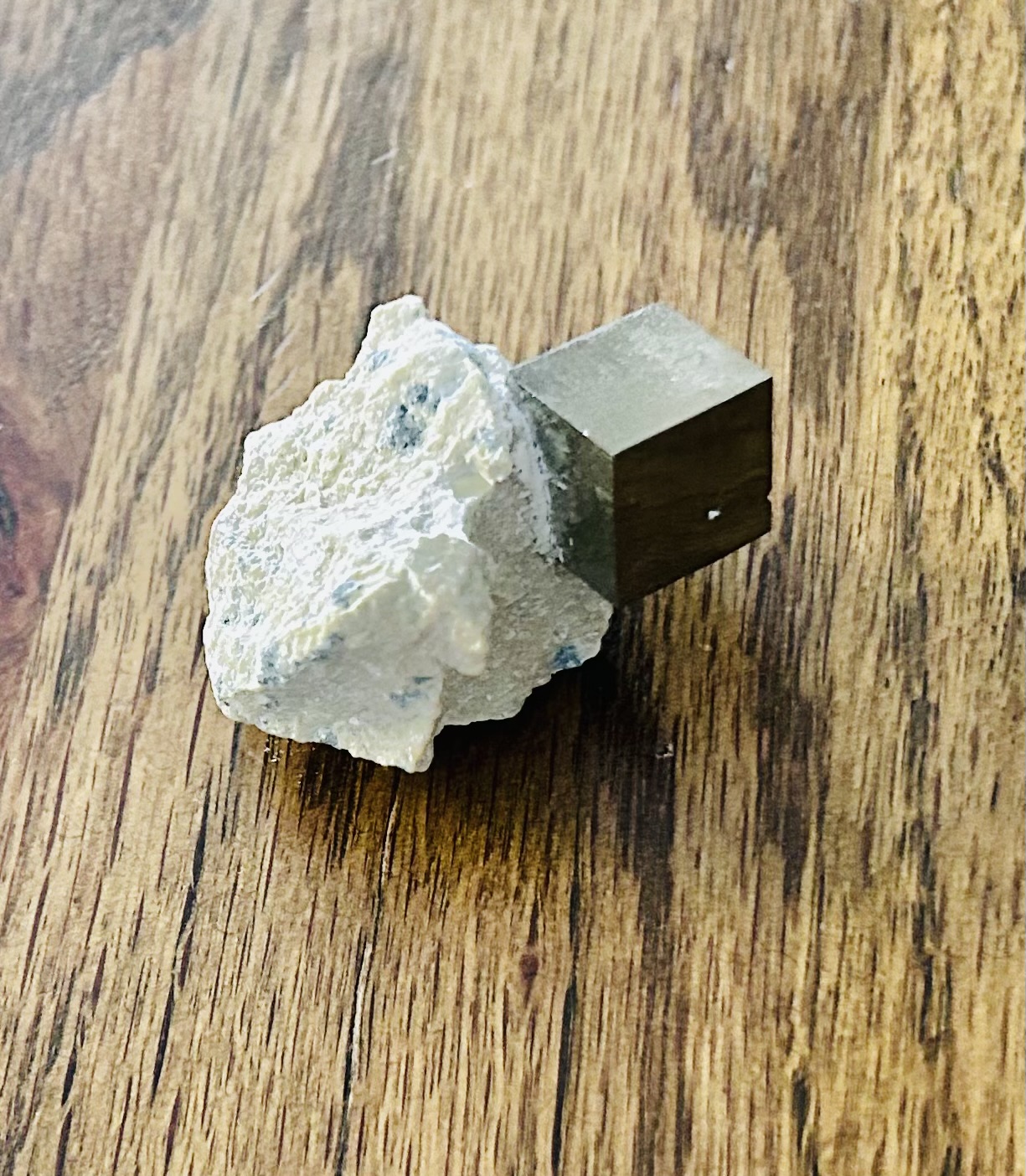 『むらきゃみのフォッサマグナ完全解説』【Aマッソむらきゃみのグルメ連載「今月のスープ」#17】 - QJWeb クイック・ジャパン ウェブ