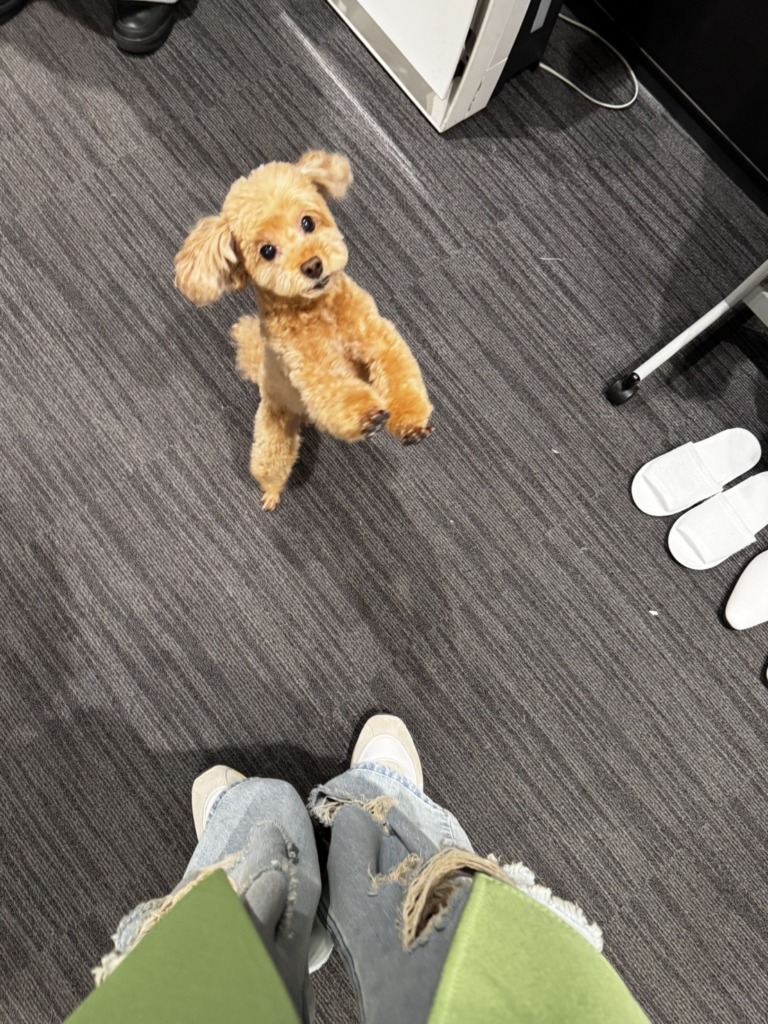 MASHIHO、愛犬“こてつ”との出会いと感謝「自分に似て、甘えん坊で寂しがり屋」【JP/EN】 - QJWeb クイック・ジャパン ウェブ